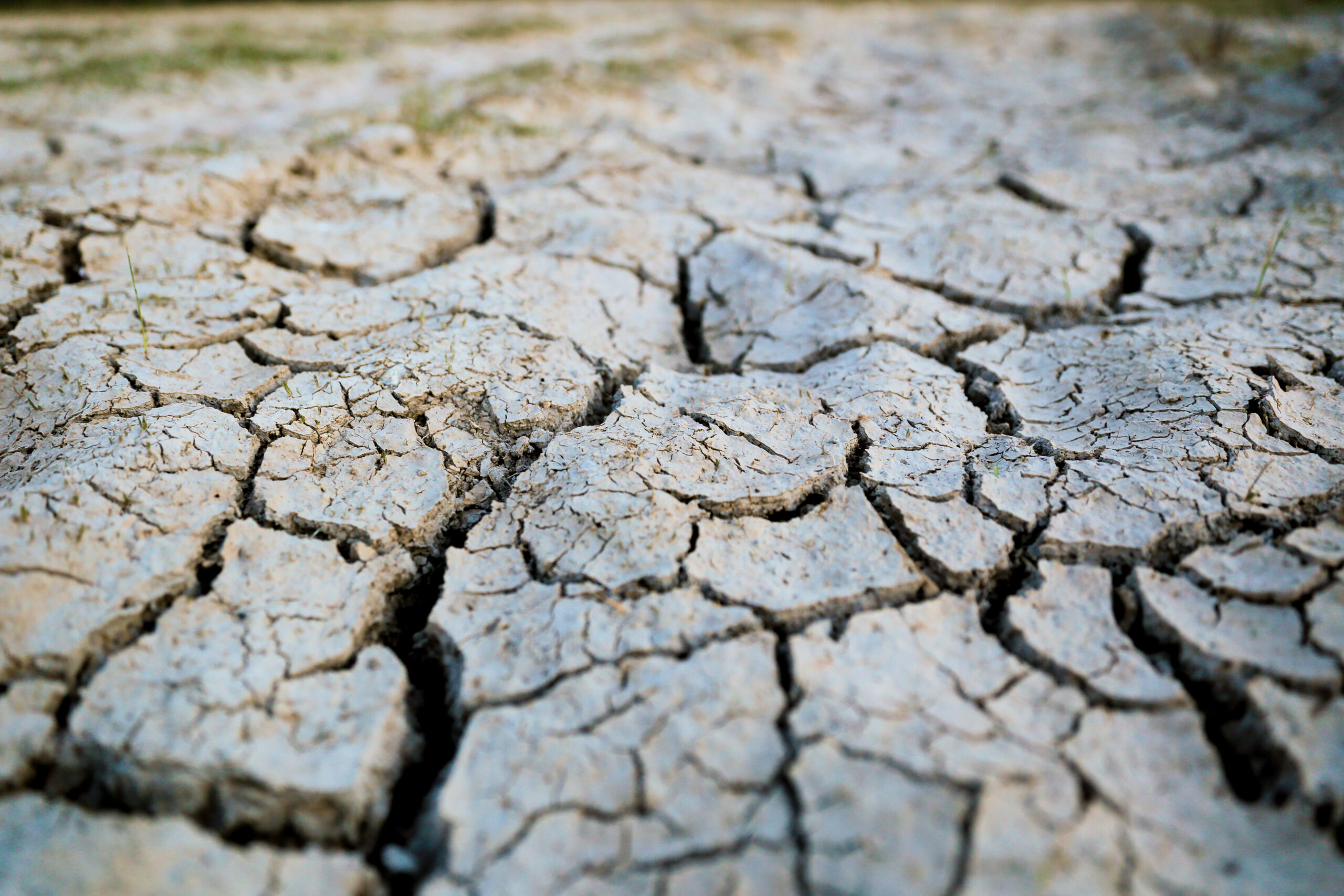 Water Supply | What Is Over-Abstraction | Wildfish