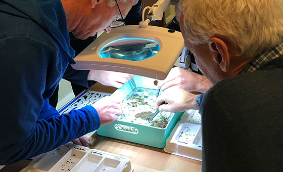 SmartRivers | Scientifically Robust Citizen Science | Wildfish