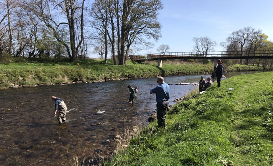 SmartRivers | Scientifically Robust Citizen Science | Wildfish