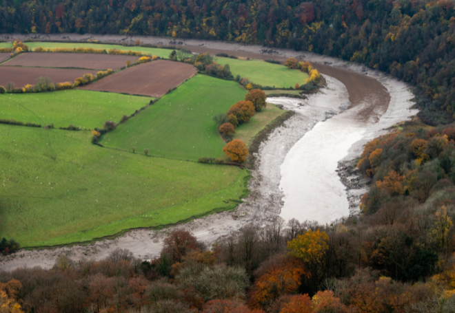 WildFish | Working To Protect Wild Fish & Their Waters